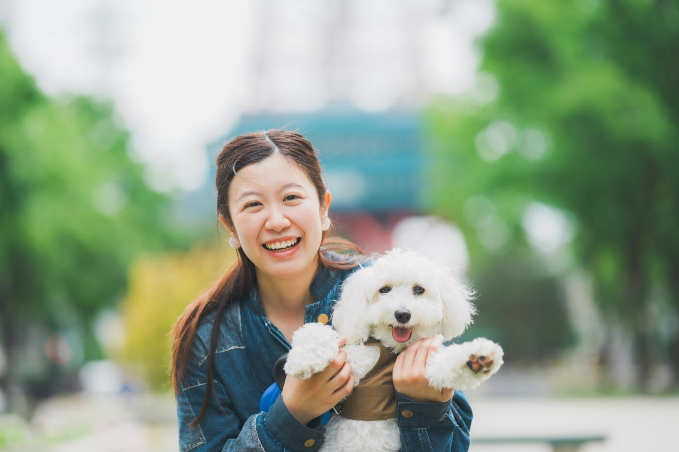 SATO / ゲストモウラー | MouLa HOKKAIDO